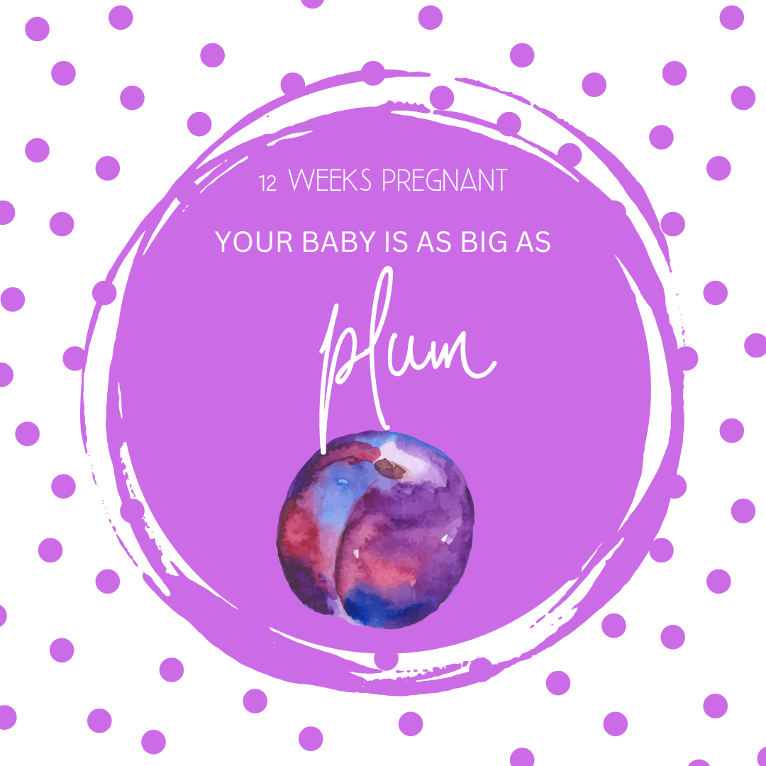 why is 12 weeks important in pregnancy